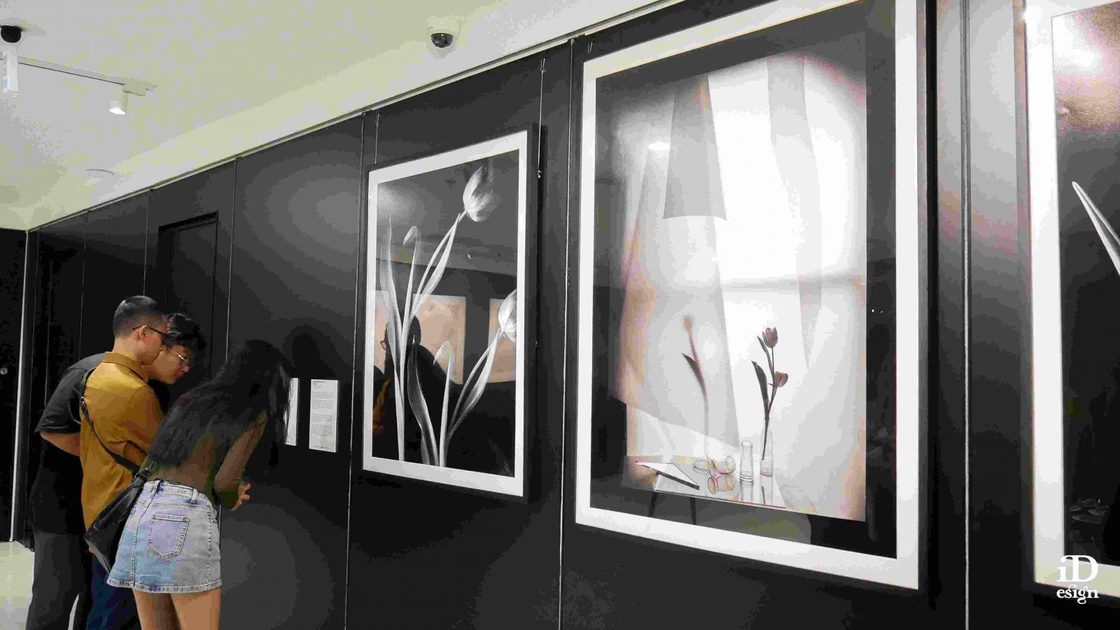 iDesign | /ai đi/ Alternate Existence/s: Triển lãm hồi tưởng 40 năm ...